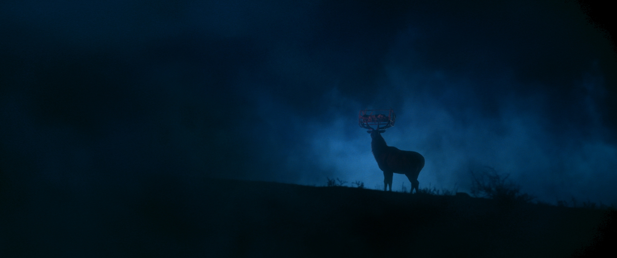 Shambala | Film by the Sea