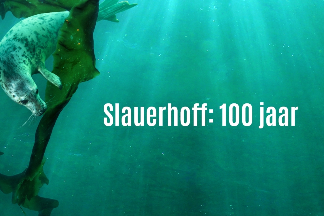 Slauerhoff: 100 jaar Archipel | Film by the Sea